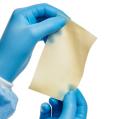 XenoSure® Biologic Patch | LeMaitre
